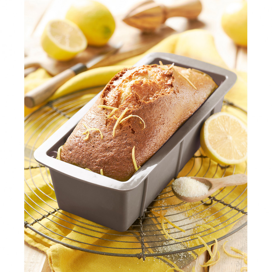 Moule à cake en silicone | Pradel France