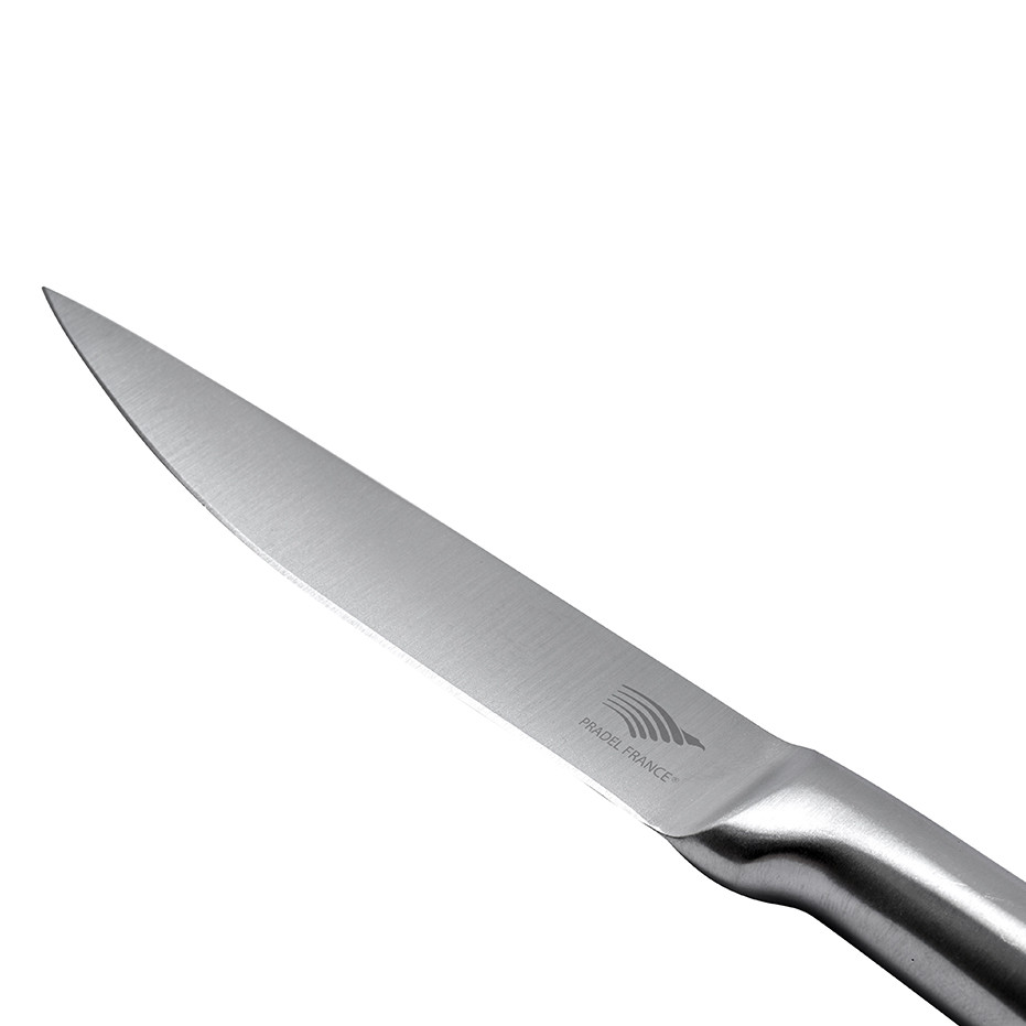 Set de 6 couteaux à steak tout inox | Pradel France